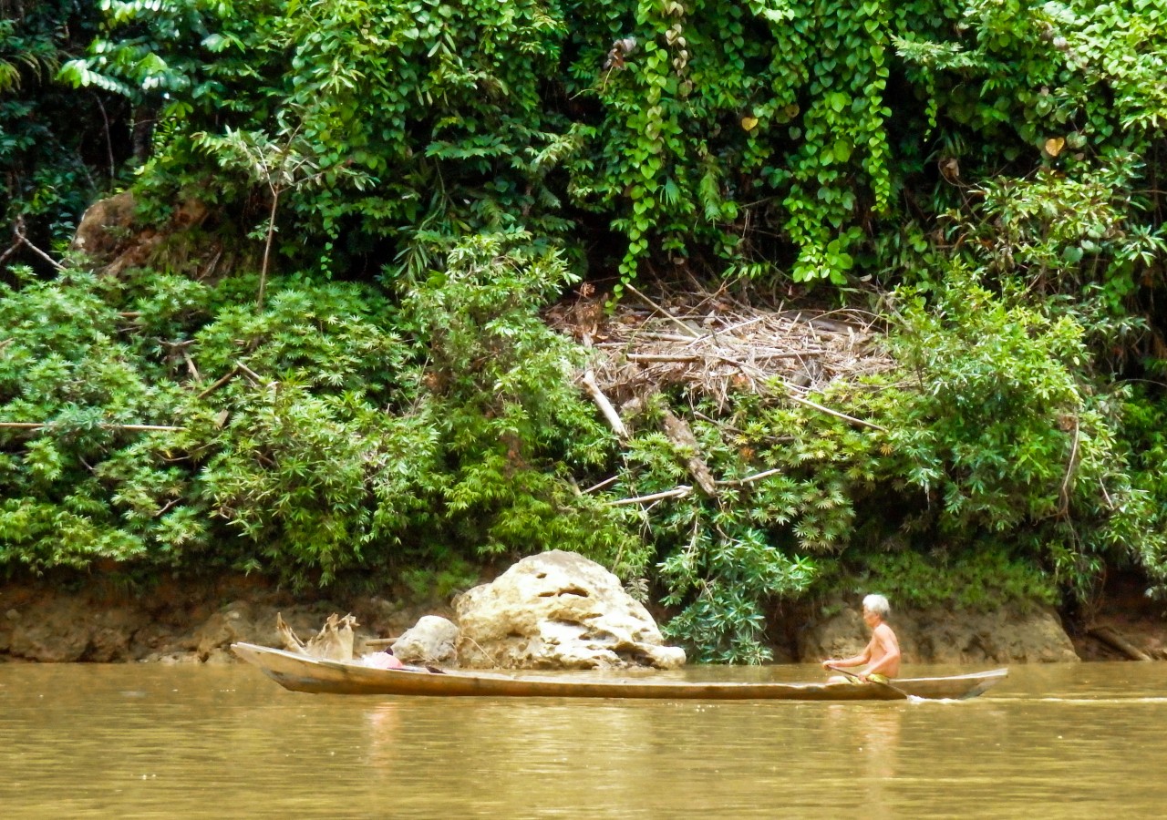 East Borneo Tour: River Cruise, Dayak Tribe & Orangutans | Indonesia