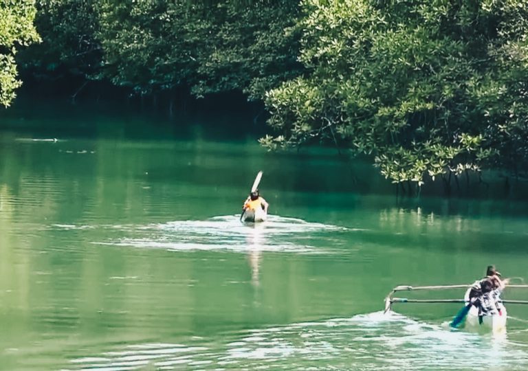 Dayak Tribes of Borneo: Culture and Traditions in Indonesia