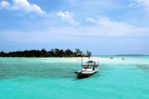 Exploring the Wonders of JAVA ISLAND 🛕 Your Essential Guide ...