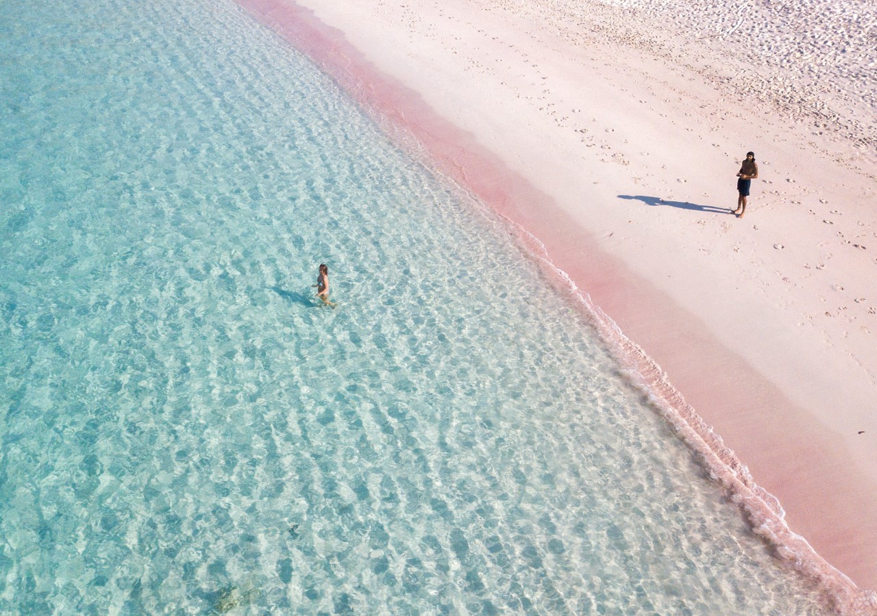 Descubre la isla de KOMODO 🦎 Mejor guía del Parque Nacional