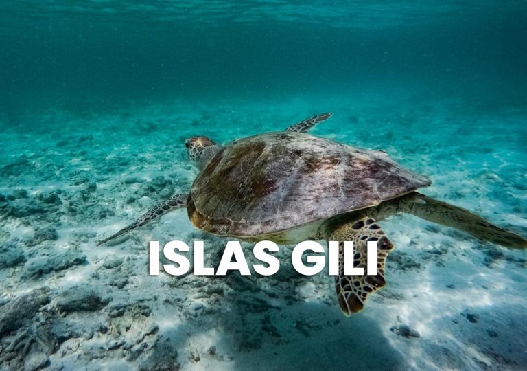 Surf en Indonesia 🏄 Las mejores islas y olas para surfear