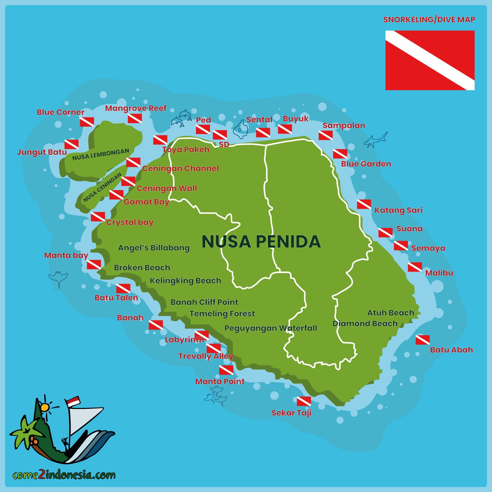 The Best Diving Spots In Indonesia 🤿 Bali, Raja Ampat, Sulawesi