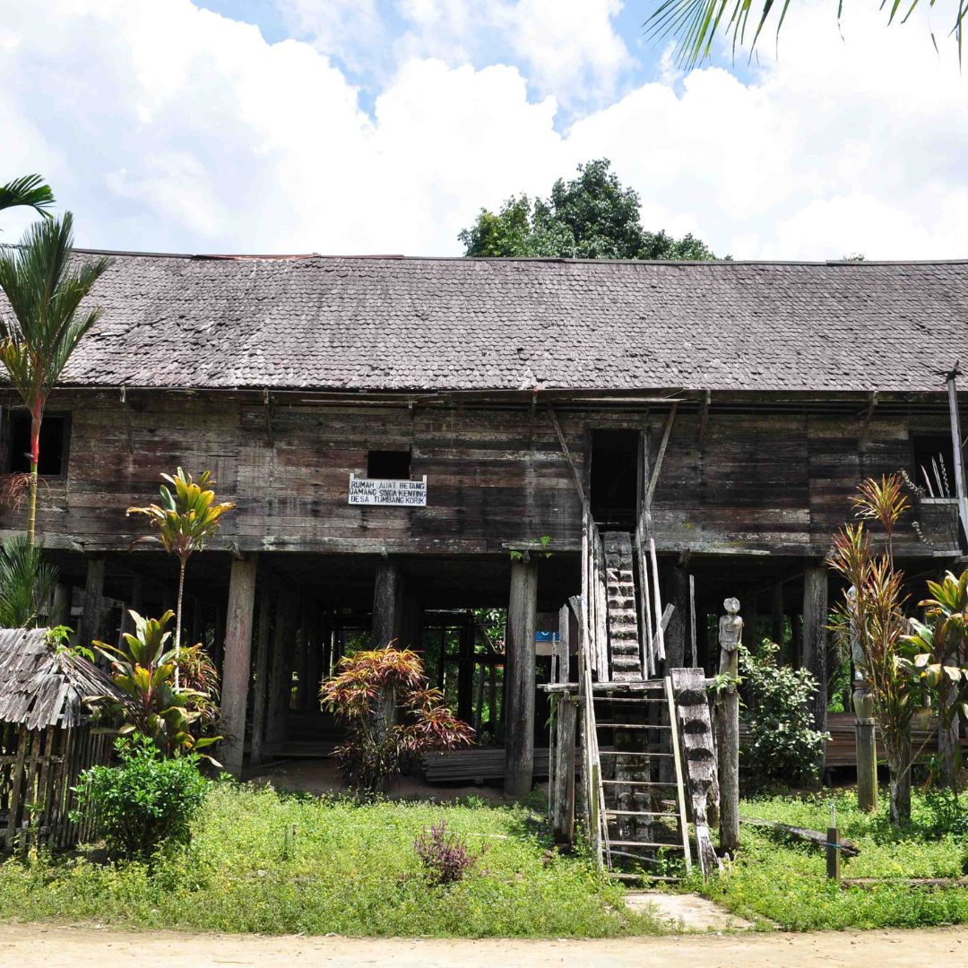 Dayak Tribes of Borneo: Culture and Traditions in Indonesia
