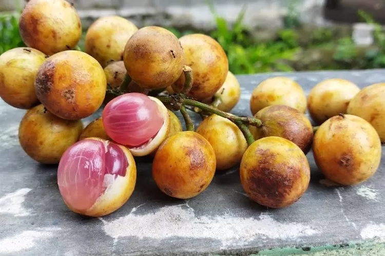 A guide to Tropical Fruit and Vegetables in Indonesia