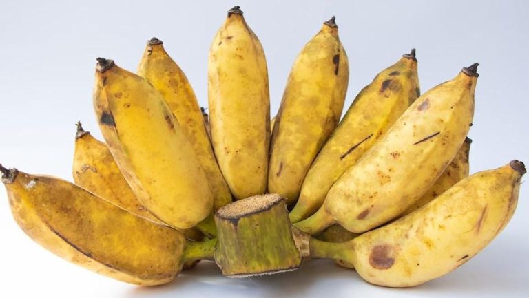 A guide to Tropical Fruit and Vegetables in Indonesia