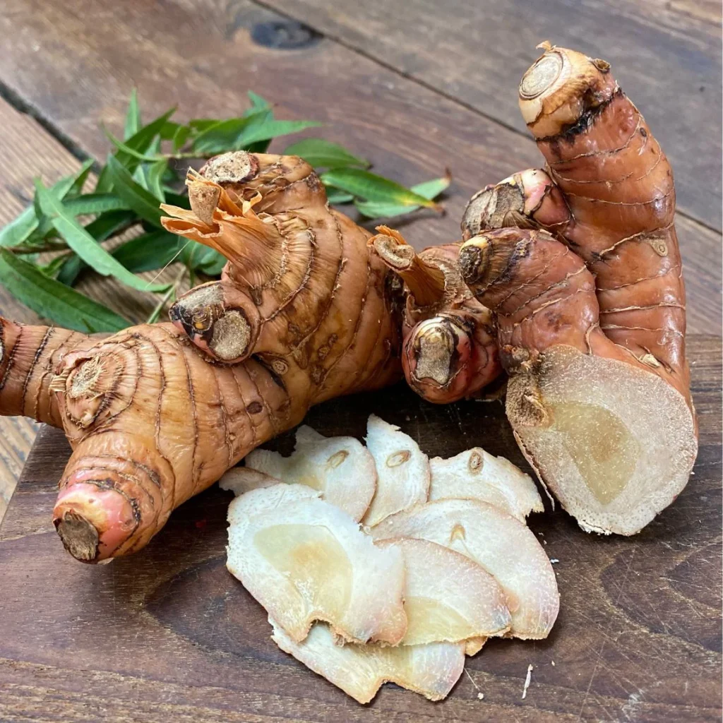 A guide to Tropical Fruit and Vegetables in Indonesia