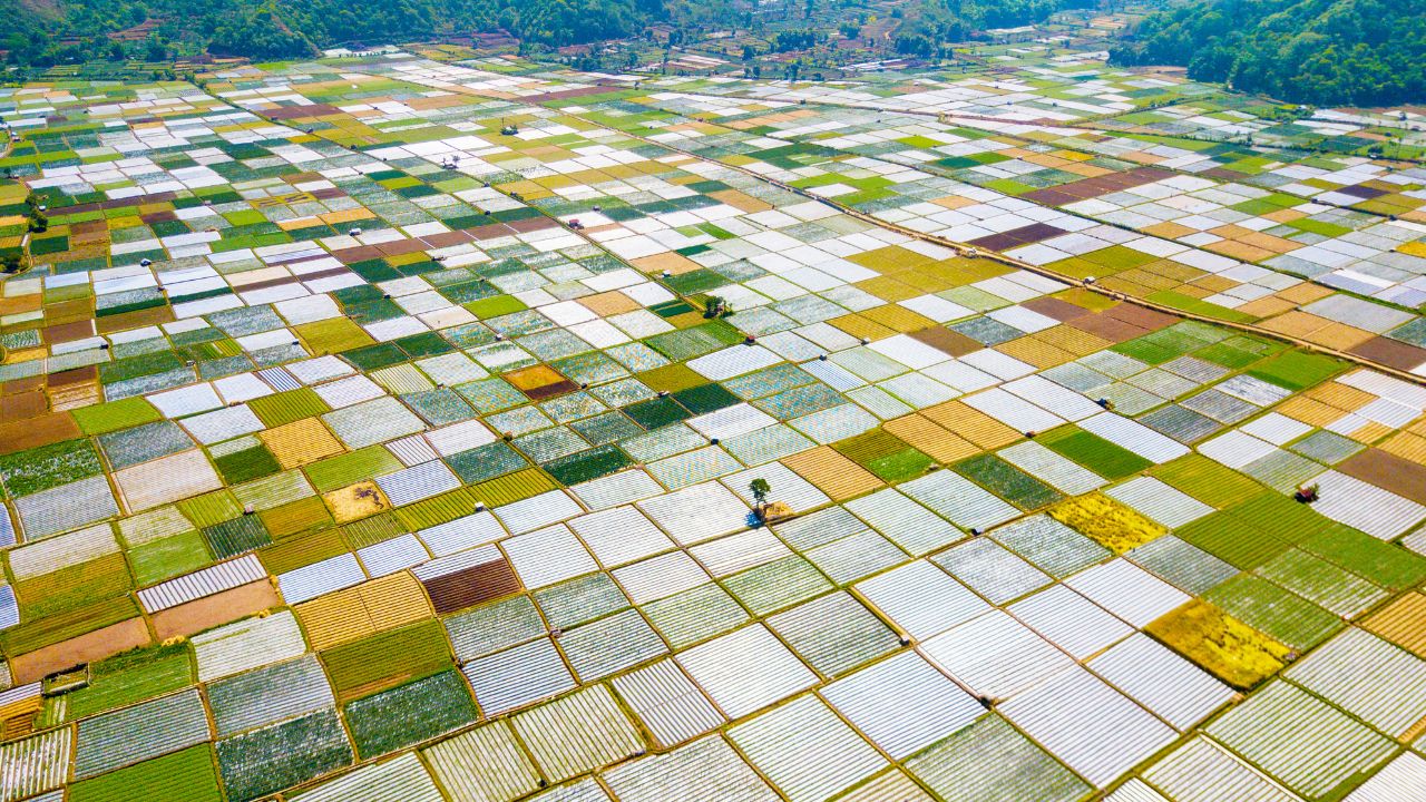 North Lombok Highlights One-Day Tour: Sembalun & Waterfalls