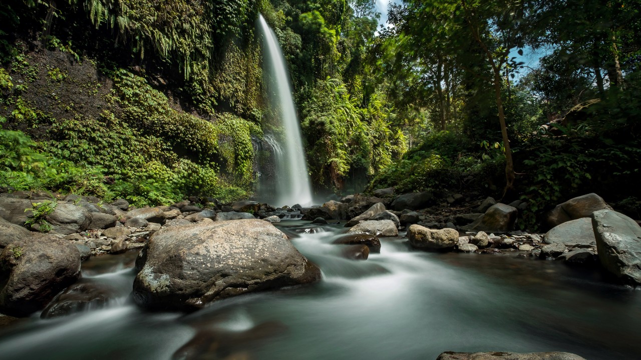 Sendang Gile Waterfall & Pusuk Pass One-Day Tour from Lombok