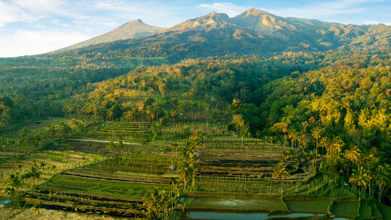 Tete Batu Hills & Rice Terraces One-Day Trekking Tour
